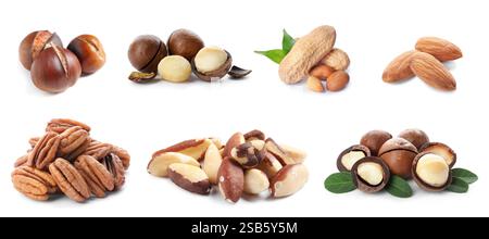 Brazil and other nuts isolated on white, set Stock Photo - Alamy