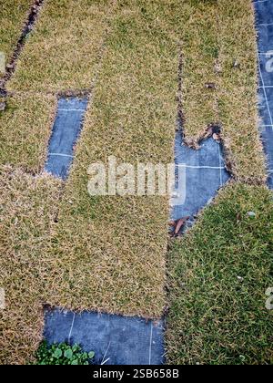 the lawn most basic in garden design and living architecture the lawn ...