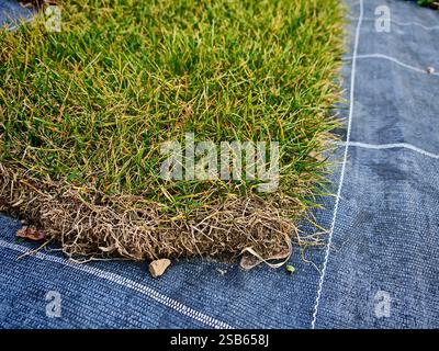 the lawn most basic in garden design and living architecture the lawn ...