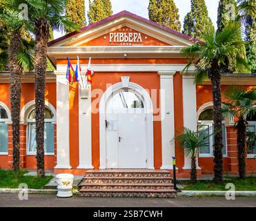 Sochi, Russia - March 21, 2024: Tree of Memory, planted by cosmonaut P ...