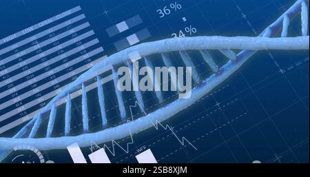 DNA strand and data charts image over scientific text background Stock ...