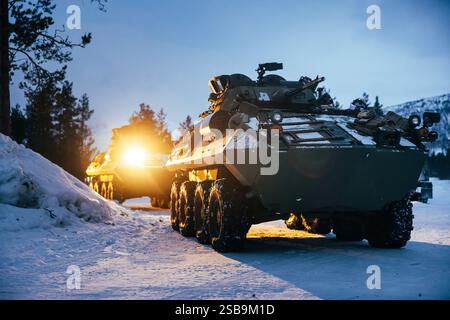A U.S. Marine with 2d Light Armored Reconnaissance Battalion, 2d Marine ...