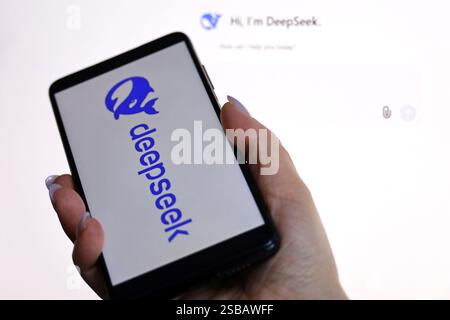 DeepSeek logo on computer screen homepage. DeepSeek has become the most ...