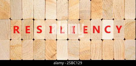 Resiliency symbol. Concept word Resiliency on beautiful white marble ...