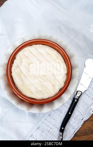 French dauphinois cheeses collection, Saint-Marcellin, creamy Saint ...