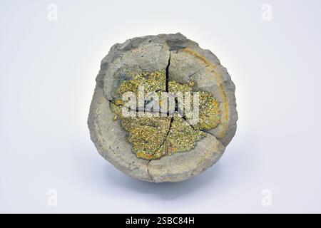 Rainbow Pyrite from Russia Stock Photo - Alamy