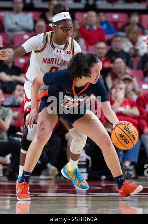 Illinois forward Berry Wallace (20) drives against UCLA forward Kendall ...