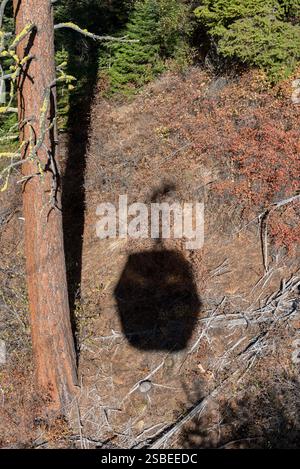 Wallowa Lake Tramway gondola car shadow, Oregon Stock Photo - Alamy