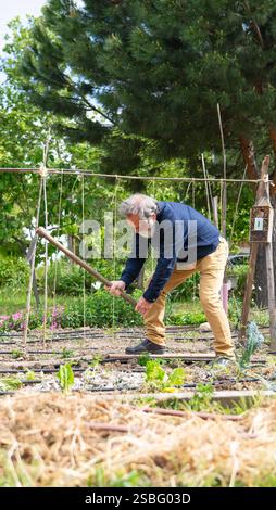 Cultivating the land in the garden with a hoe Stock Photo - Alamy