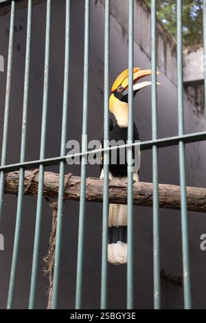 Johor Zoo, Jalan Gertak Merah, Taman Istana, 80000 Johor Bahru ...