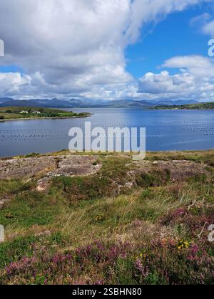Scenery at the coast of Kenmare River and Iveragh Peninsula (in ...