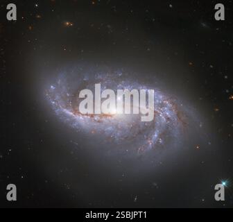 A barred spiral galaxy, with a central bar-shaped star structure, is ...