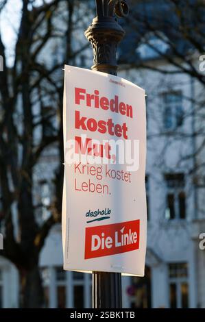 Wahlplakat von Die Linke zur Wahl zum 21. Deutschen Bundestag. Bonn, 02 ...