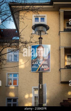 Leader of far right AfD Alice Weidel waves a German flag at the AfD ...