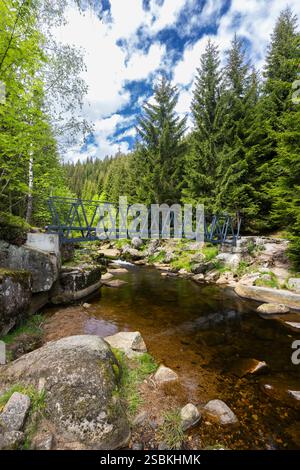 Spring landscape near Karlovsky most, Czech and Poland border, Jizerky ...