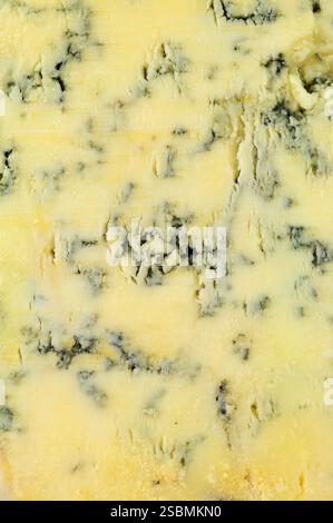 Blue Stilton English classic cheese veined marbling detail texture ...