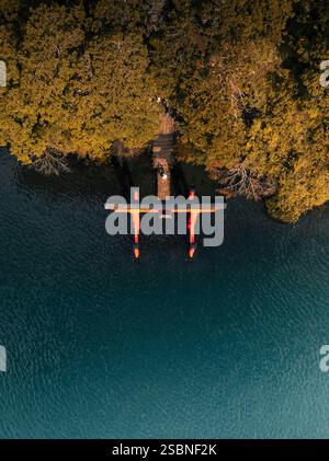 Japan, Honshu, Hakone, aerial view of the torii of Hakone Jinja Shrine ...