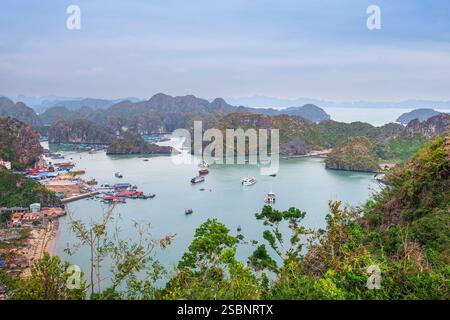 Vietnam, Cat Ba Island, Ben Beo harbor Stock Photo - Alamy