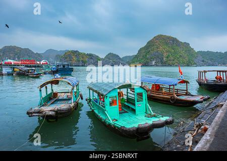 Vietnam, Cat Ba Island, Ben Beo harbor Stock Photo - Alamy