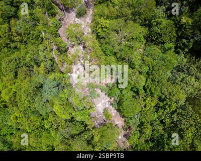 Birds eye view of dense tropical rainforest in Borneo Stock Photo - Alamy