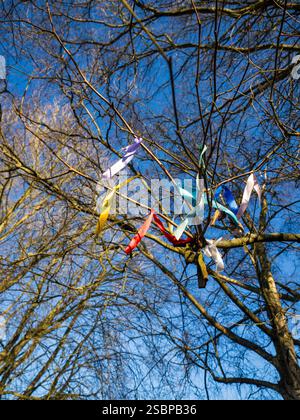 Ribbons Tied to the Wishing Tree, Marsh Meadows, Henley-on-Thames ...