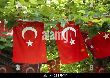 Turkish national flag in open air on a rope Stock Photo - Alamy