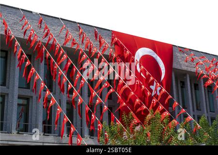 Turkish flags isolated on white backround featuring star and crescent ...