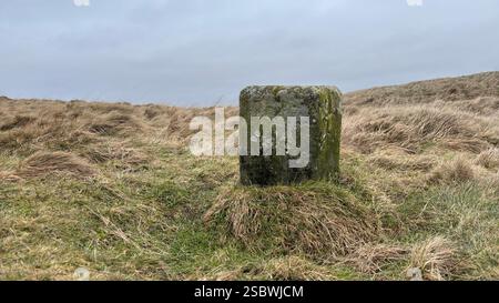 Ancient Scottish stone way marker in the moorlands of Scotland in the ...