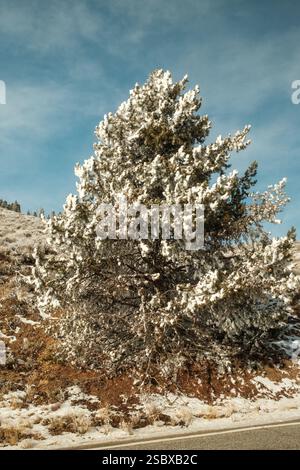Winter scenes in Stanley Idaho Stock Photo - Alamy