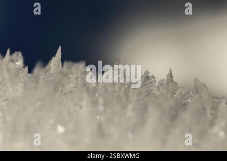 Snow crystals in back lit condition in the Eng valley Stock Photo - Alamy
