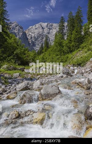Stream in Enger-Grund in summer, behind it the Laliderer walls, Enger ...