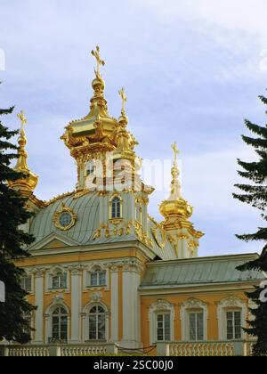 Old palace with golden cupolas in the Peterhof Stock Photo - Alamy
