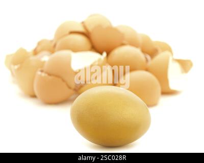 Golden Egg At White Against Heap Of Egg Shell Stock Photo - Alamy