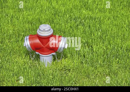 Fire Hydrant in the Grass Varna, Bulgaria, Europe Stock Photo - Alamy