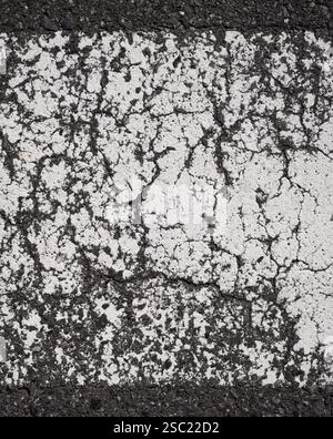 Abstract Art Patterns in Japanese Pedestrian Street Crossing in Tokyo ...