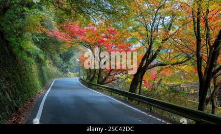 Kibune (Kifune) Suburban Road with Colorful Autumn Scenario in Kyoto ...