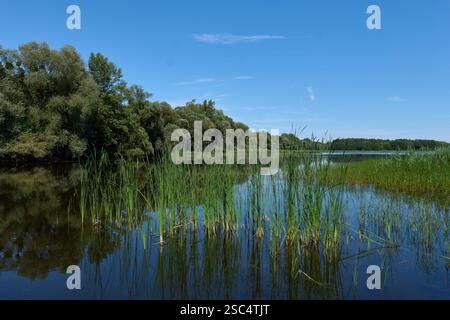 Ruda Milicka, Poland: View over the large Jaskolczy fish pond Stock ...