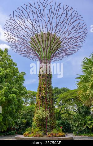 The ingenious vertical gardens of Supertree Grove in Singapore's ...