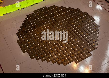 Nuclear fuel units (white markers) and control plug units (yellow ...
