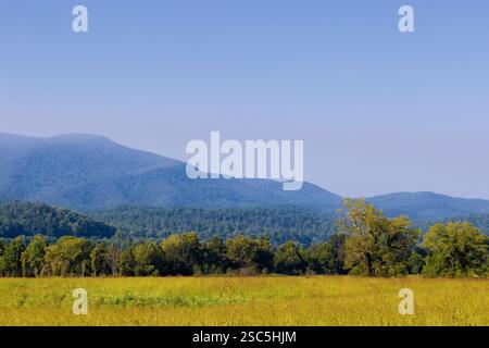 Summer landscape views at Cades Cover in the Smoky Mountain National ...
