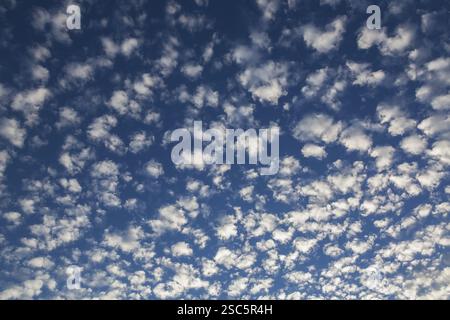 Fleecy clouds in blue sky. Cirrus clouds formation with blue sky ...