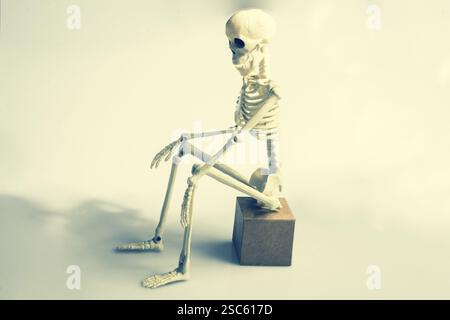 Artificial human skeleton sitting with a box on his skull Stock Photo ...