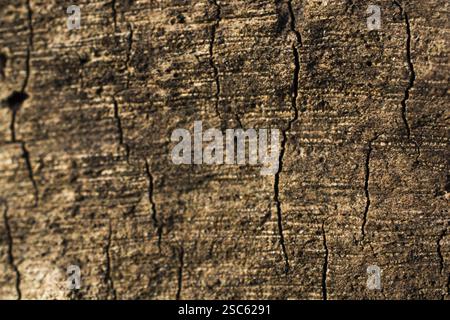 Wood texture with natural patterns as a background Stock Photo - Alamy