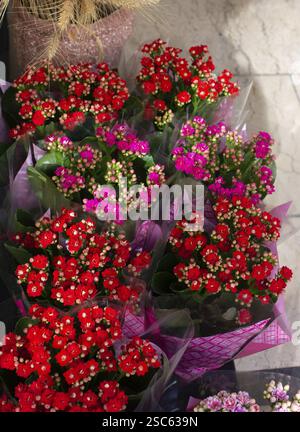 flower detail. flower pattern. flower background. flower bouquet Stock ...