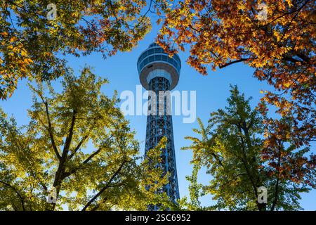autumn leaves and Yokohama marine tower in Kanagawa, Japan Stock Photo ...
