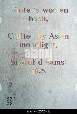 Winter's woolen hush, Crafted by Asian moonlight, Size of dreams: 36.5 ...