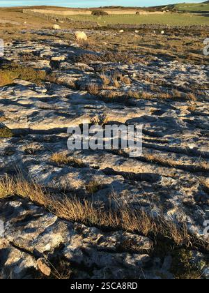 Expanse of limestone pavement (alvar), first exposed during the last ...