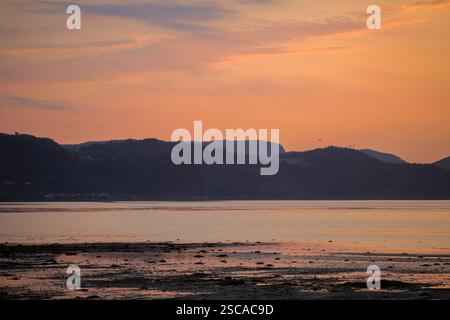 Low tide at Trondheim fjord and sandy beach Oesand located near the ...