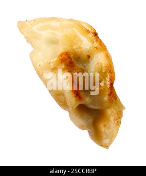 One fried gyoza dumpling isolated on white Stock Photo - Alamy