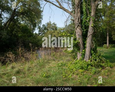 Turtle Creek, Location: Beloit WI Stock Photo - Alamy